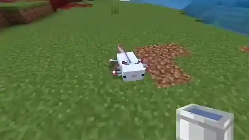 动作优化 minecraft 我的世界版本连更