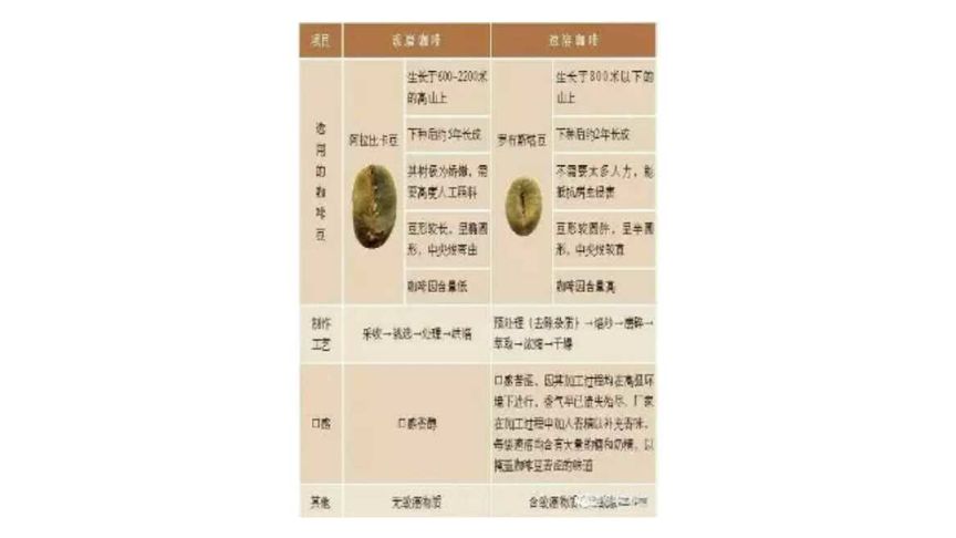 告诉你现磨咖啡还是速溶咖啡健康美味。