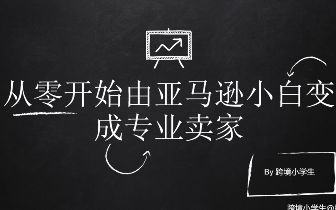 跨境电商|从零开始由亚马逊小白变成专业卖家