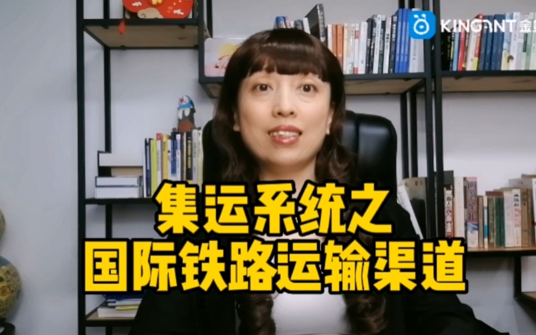 集运系统之国际铁路运输渠道 介绍~金蚁