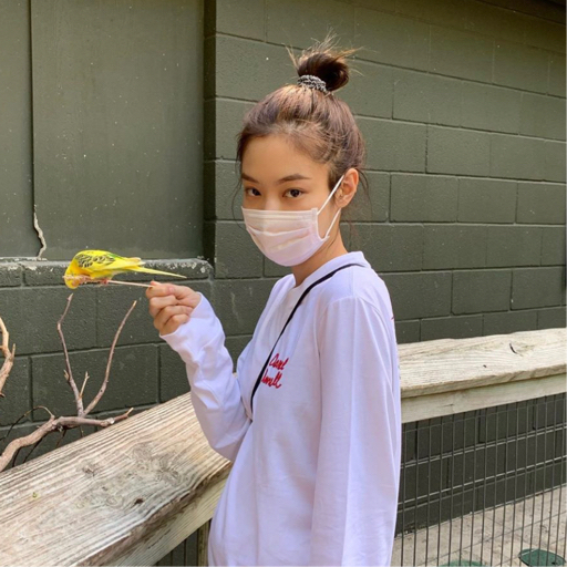丑丑不吃藕 