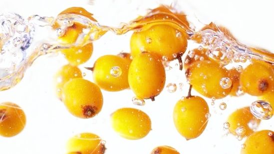 好强大!这段视频清晰的讲述了沙棘果的10大功效