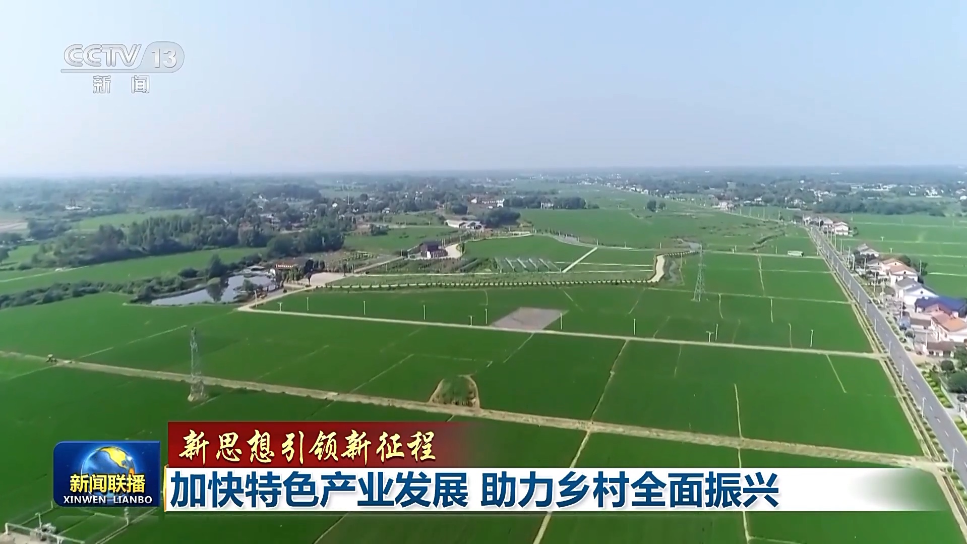 ...引领新征程丨荔枝、芒果、辣椒、甘蓝…这些“土特产”做出了大文章