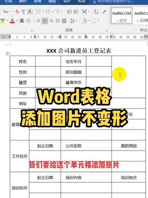 office办公技巧,wps表格,文员,word,word文档