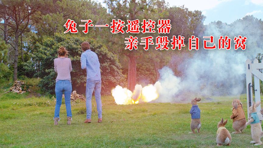 《彼得兔》第3集|兔子和人类为了争夺美女,亲手毁了自己的家