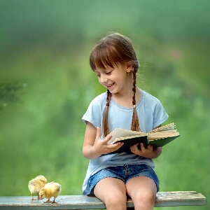 点份黄焖鸡给你资料 