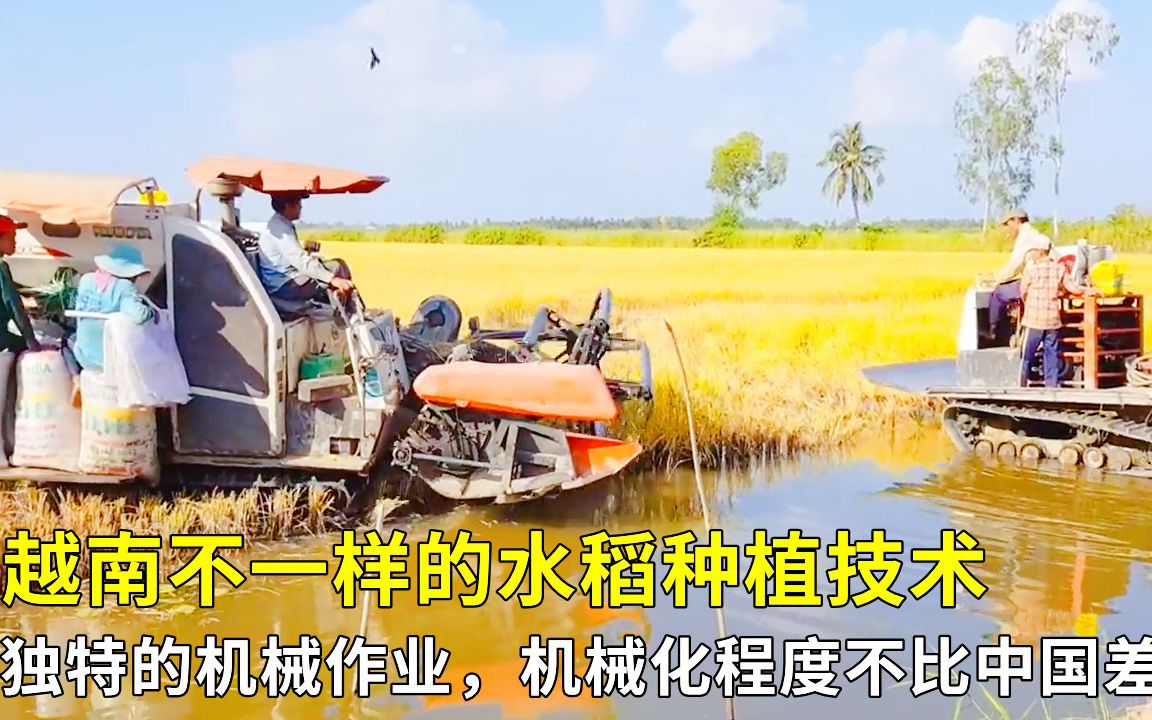 越南水稻种植技术如何?独特的机械作业,机械化程度不比中国差!
