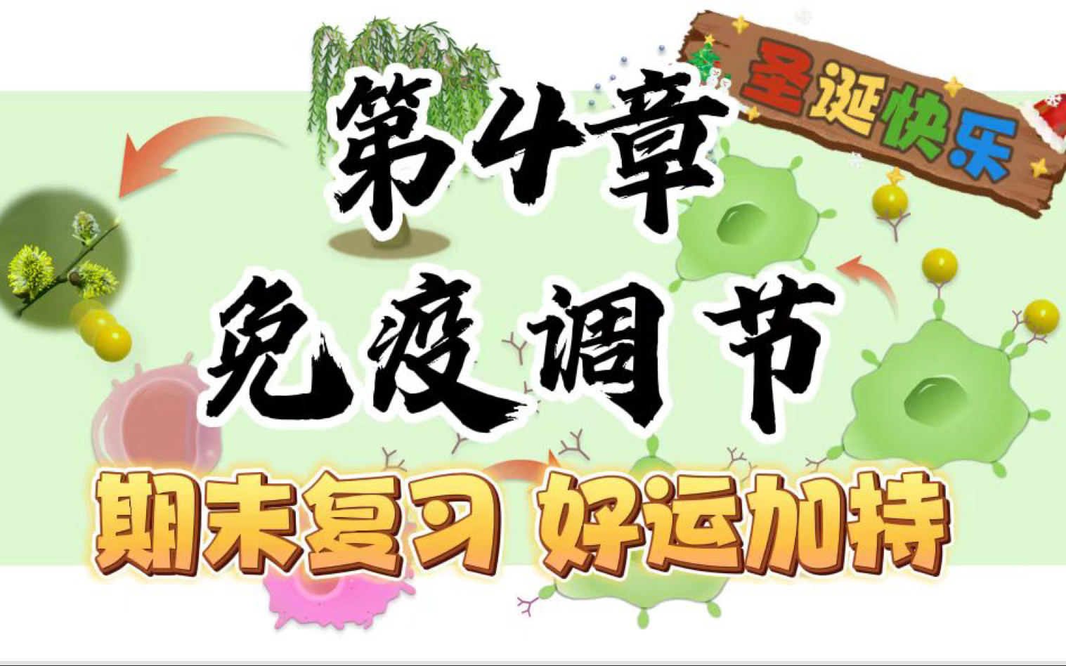 高中生物选择性必修1 | 期末复习 | 第4章免疫调节 (知识点串讲+例题)