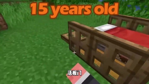 我的世界:从没见过这么小的房子!