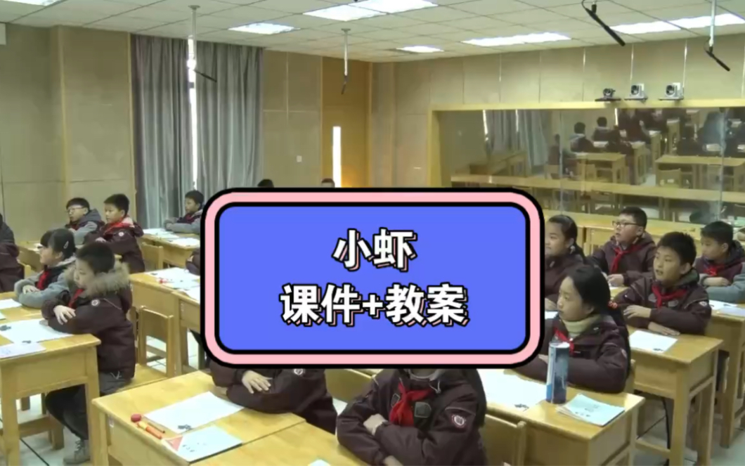 三年级下册小学语文公开课《小虾》(配套课件+教案)课堂实录。