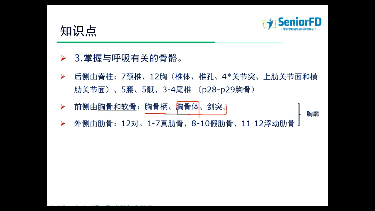 北京语言大学 语言病理学考研 专业课 818解剖生理学 录播课试听