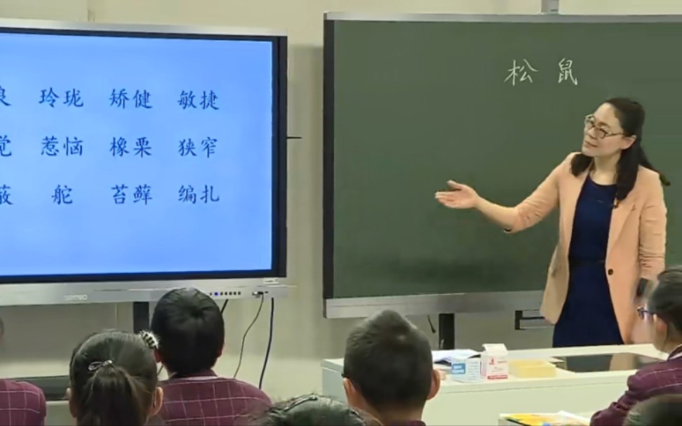 《松鼠》公开课优质课【新课标示范课】