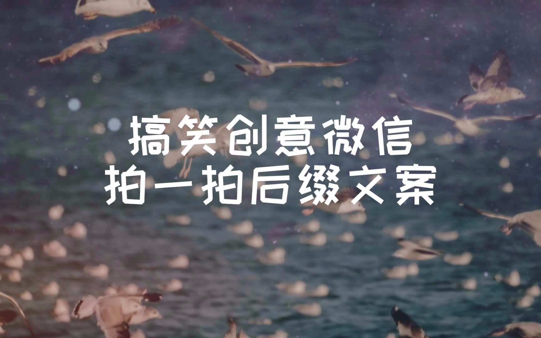 搞笑创意微信拍一拍后缀文案