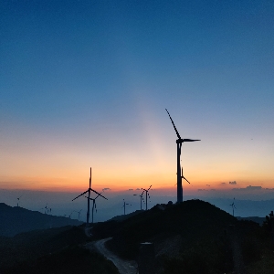 野生电气工程狮 