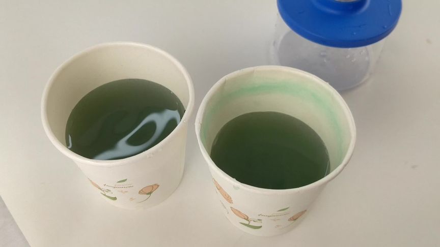 今天分享一个孩子做的净水模型,水过滤实验