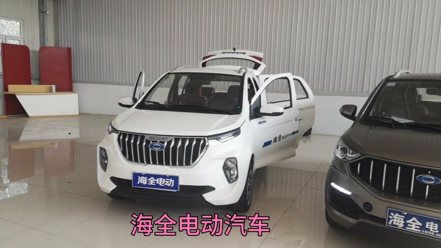 新款海全电动汽车成人家用铁壳全封闭新能源电动四轮车