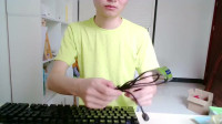 百元机械键盘不能用?79元机械键盘飞利浦真香!
