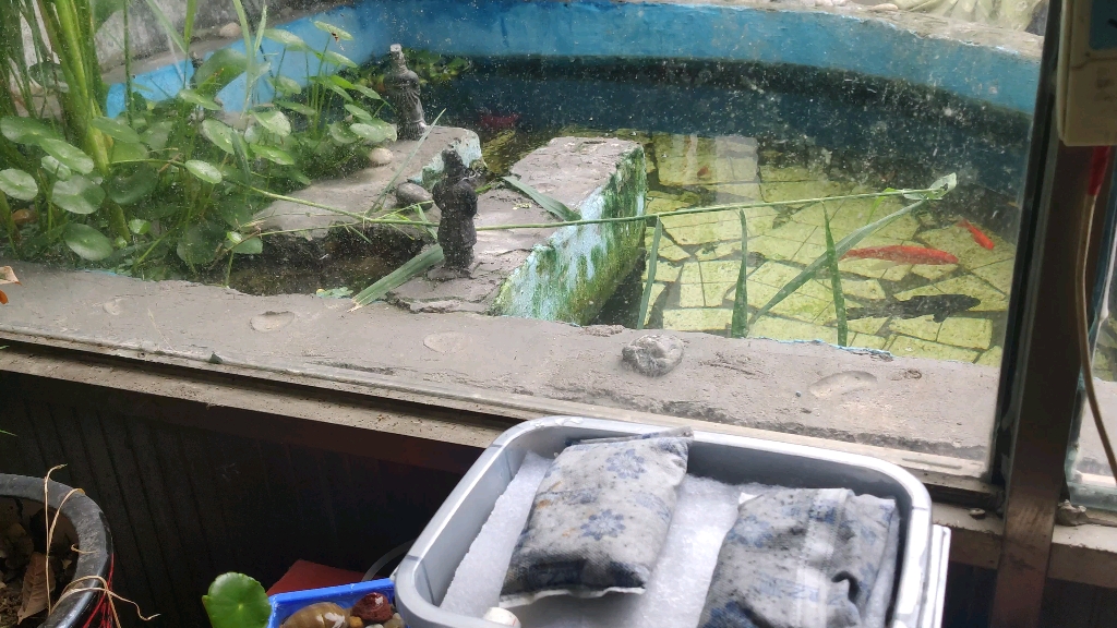 巧妙的运用三合一过滤,做了一个双过滤系统