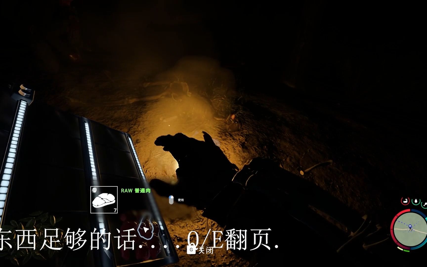 森林之子森林2——如何烤肉(食物、药材)