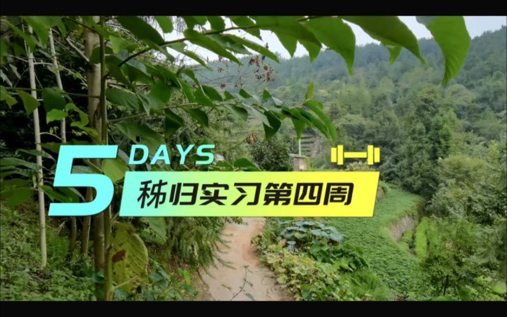 地大秭归实习 last week /土地利用现状实地调查