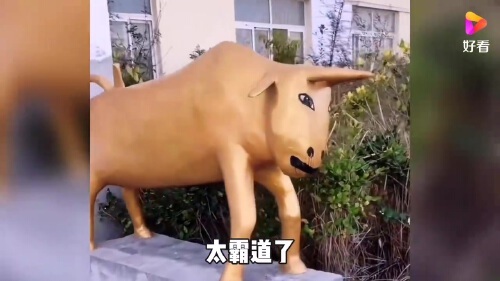 朋友开的公司,说规模大又正规,看完门口俩牛,我放心了!
