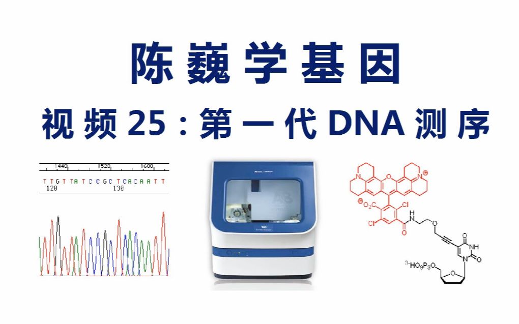 【陈巍学基因】视频25:第一代DNA测序