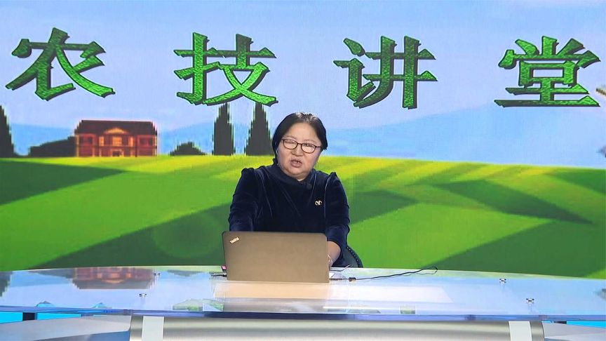 【大同区农技讲堂】根据实际情况选择耕作模式