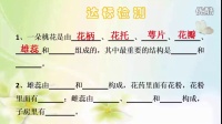 开花和结果之果实和种子的形成