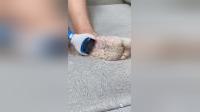 电动磨脚器,轻松去除脚部死皮