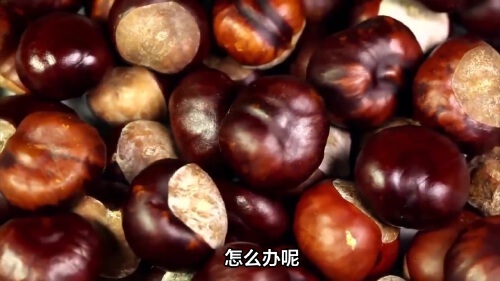 生栗子怎么剥皮快又干净?用对方法秒去皮,而且保存一年都不坏