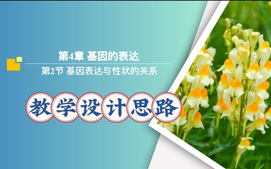 4.2基因表达与性状的关系