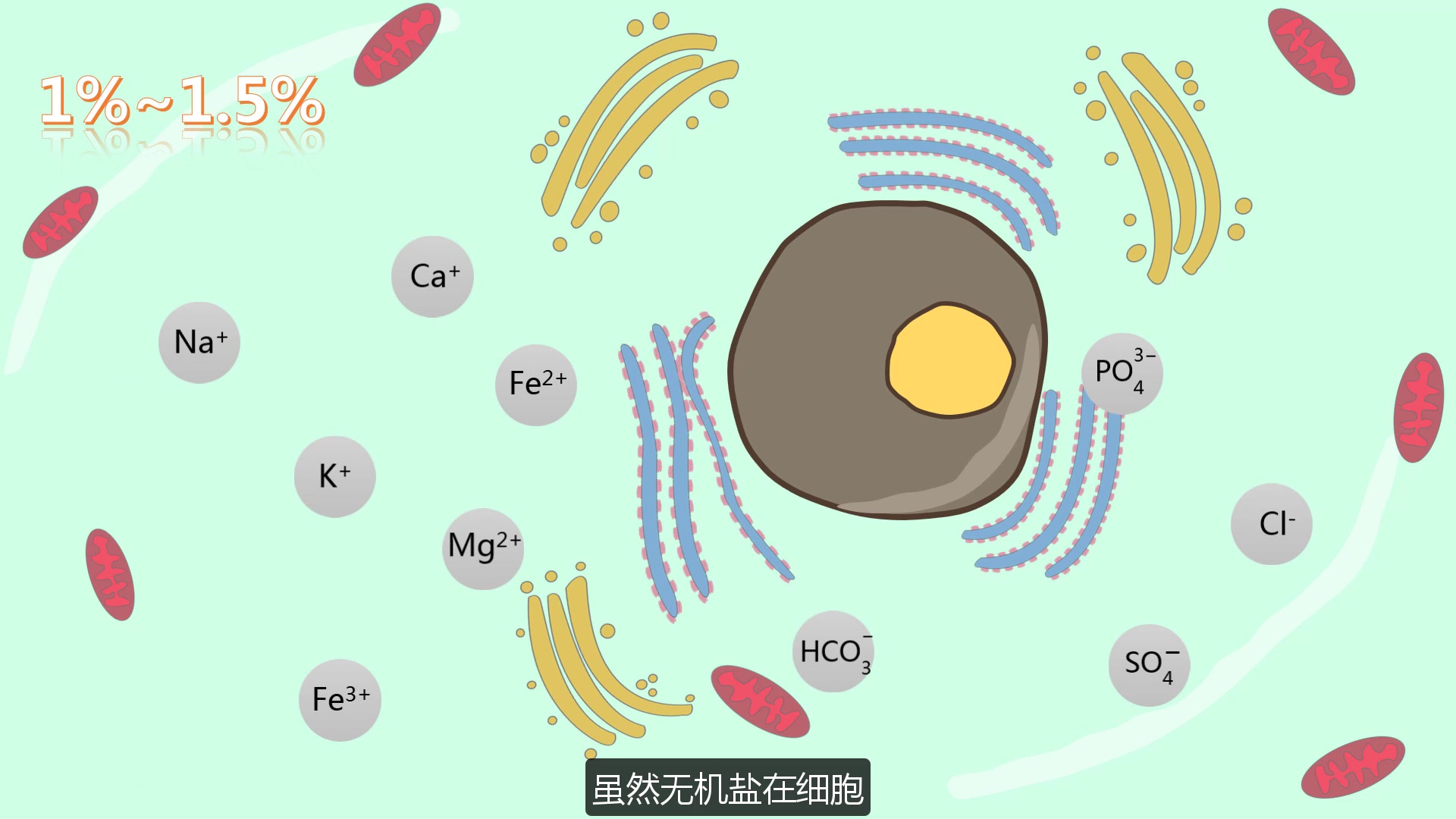 【跟我学生物】细胞中的无机盐——高一生物