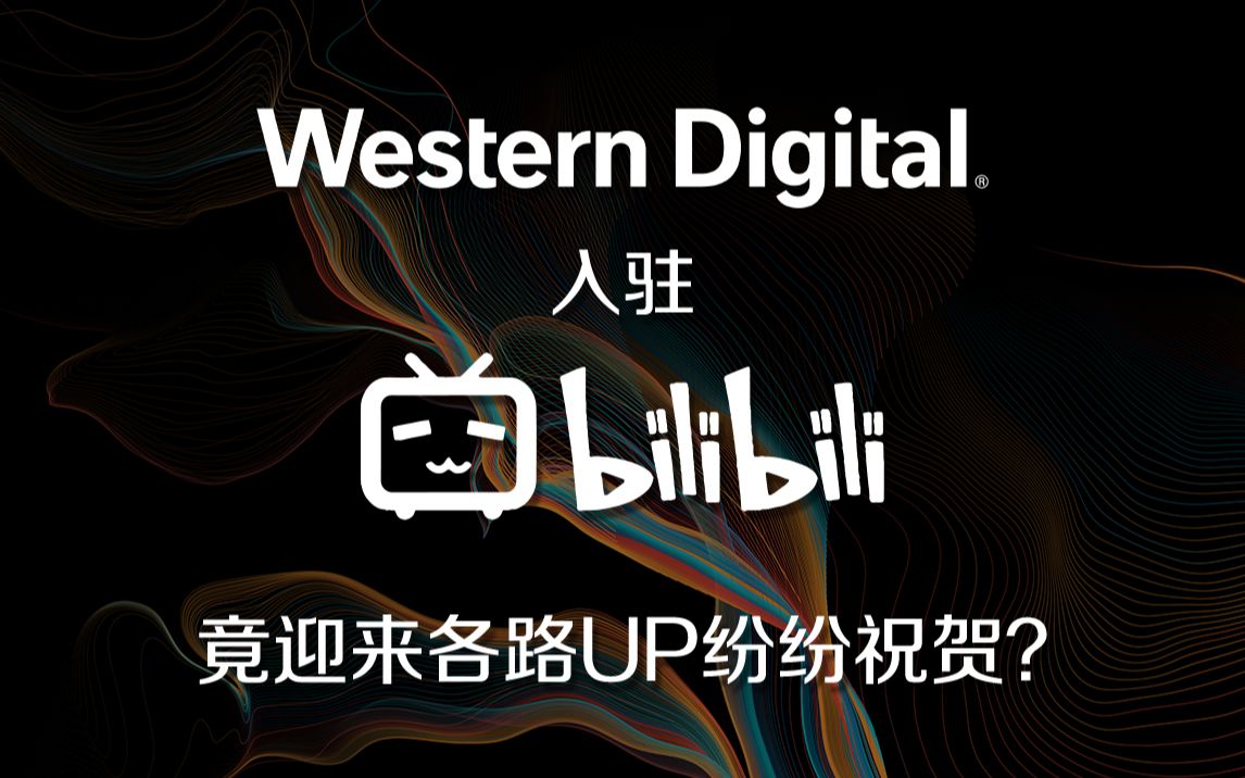 西部数据入驻B站,竟迎来各路UP纷纷祝贺?