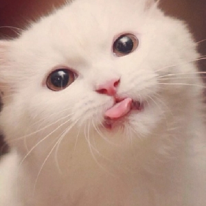 叮当猫摄影拍摄 