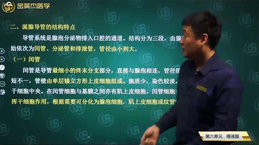口腔组织病理学06唾液腺02涎腺的基本结构02涎腺导管的结构特点
