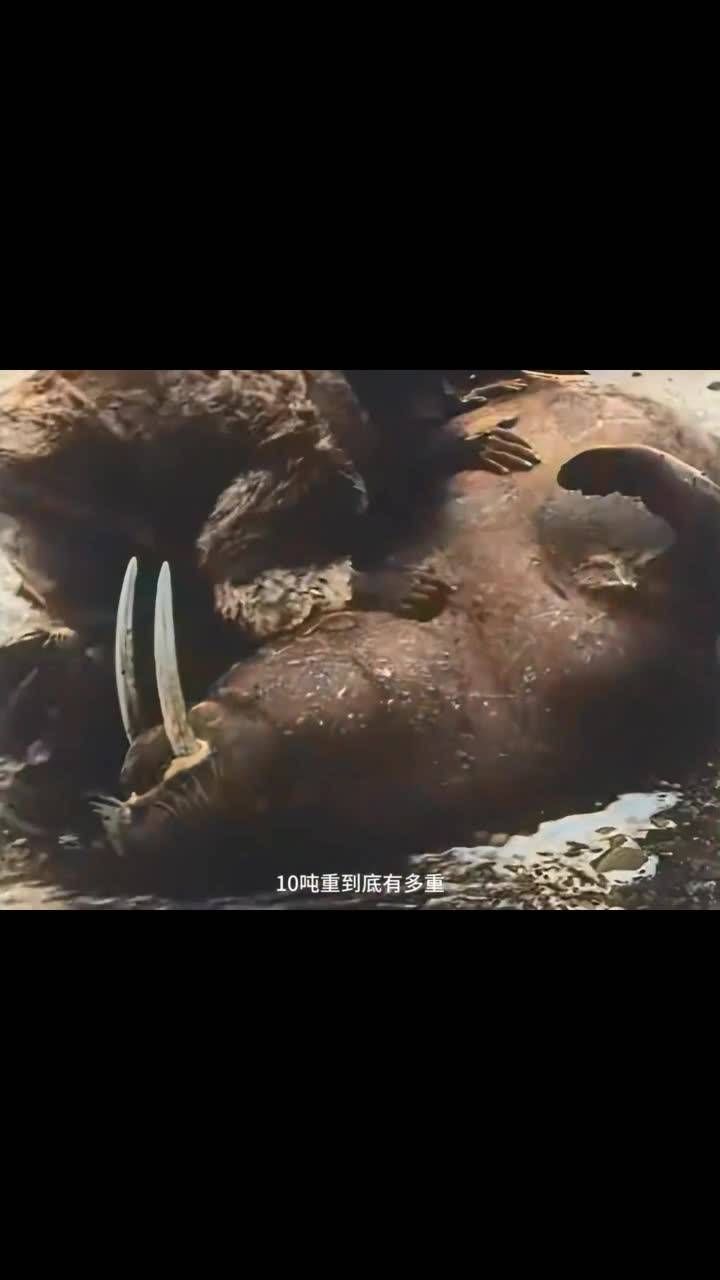 纪录片:为了拍摄世界上第一部纪录片