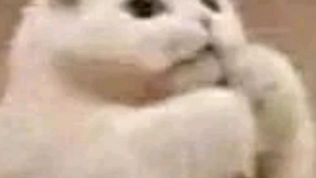 微信二维码和QQ群在这里