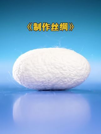 你知道丝绸是怎么制作的吗?