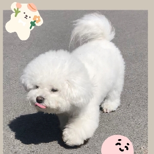 天使冬冬宝贝 