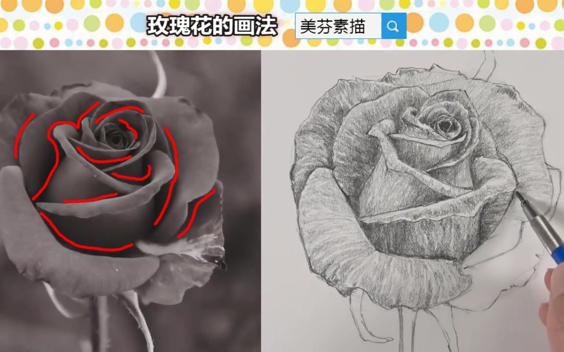 玫瑰花的画法,简单画出漂亮的花瓣,素描基础干货教程