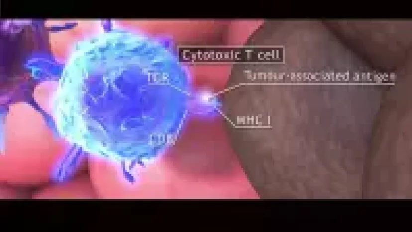 显微镜下白细胞追杀病毒和细菌生命太奇妙