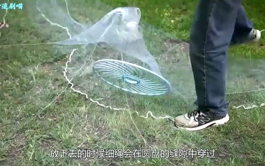 渔网捕鱼的原理,你猜到了吗
