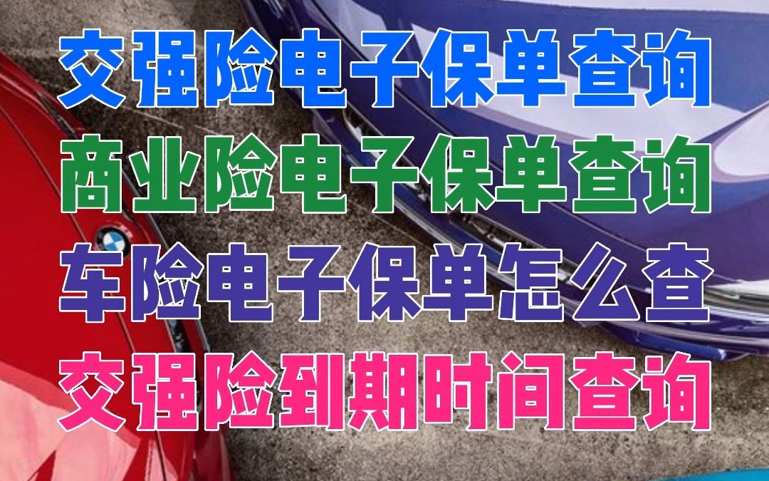 司户车辆交强险电子保单怎么查询?交强险在哪家保险公司查询?二手车...