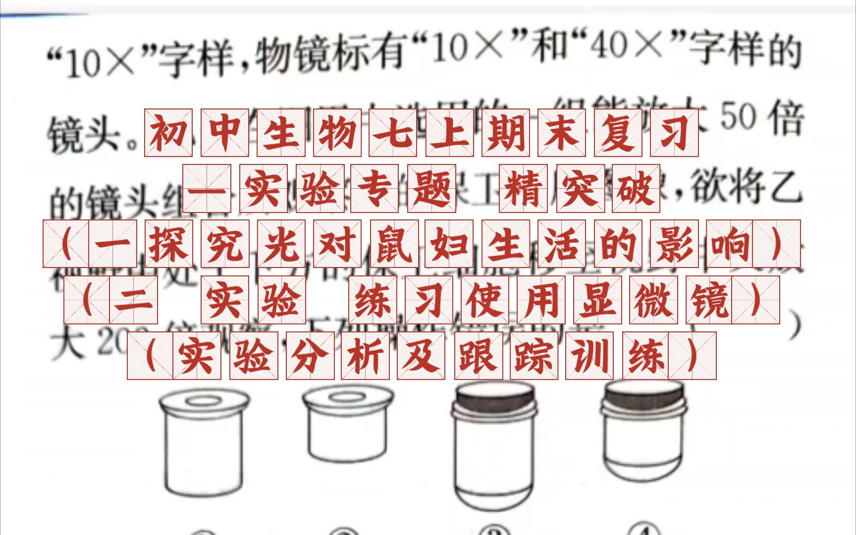 初中生物七上期末复习—实验专题 精突破(一 探究 光对鼠妇生活的影响...