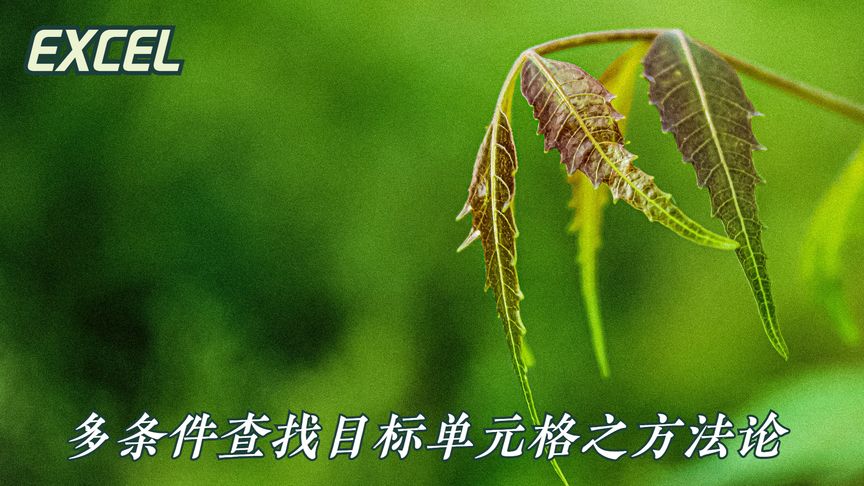 Excel综合应用(51):多条件查找目标单元格之方法论