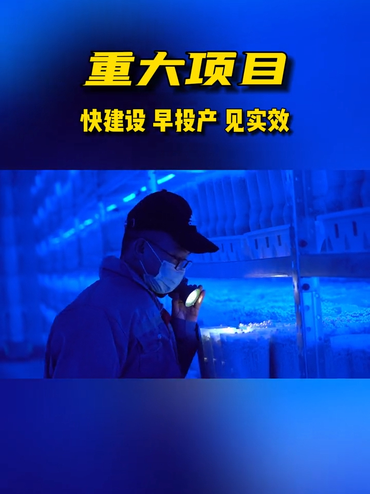 重大项目,快建设、早投产、见实效