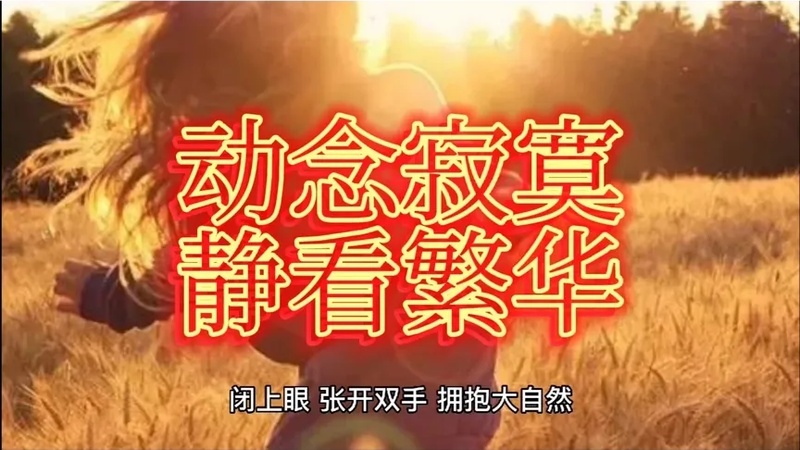 动念寂寞静看繁华