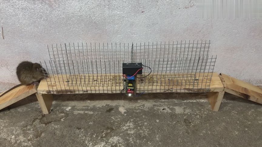 大叔自制电击捕鼠器制作过程与及捕捉,视频看着很爽!