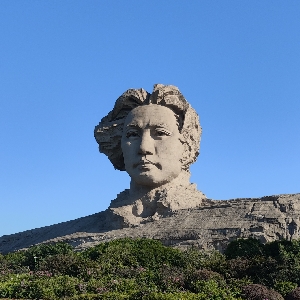 小陈陈秀 