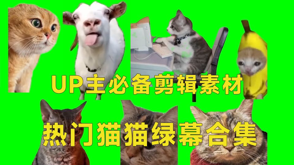 UP主必备!热门绿幕视频素材,180套猫猫meme动态绿幕合集包,包含...